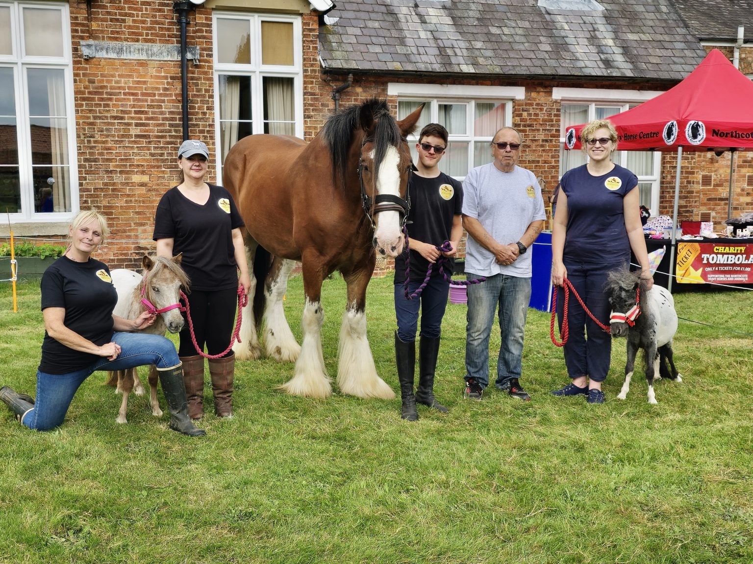 Northcote Heavy Horse Centre | Lincolnshire Animal Sanctuary